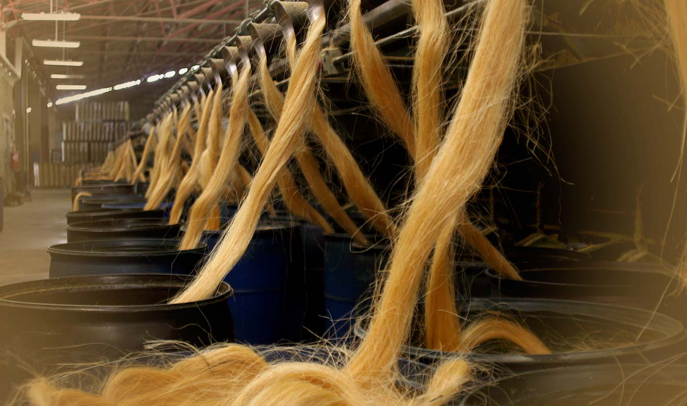 Produtos – Sisal